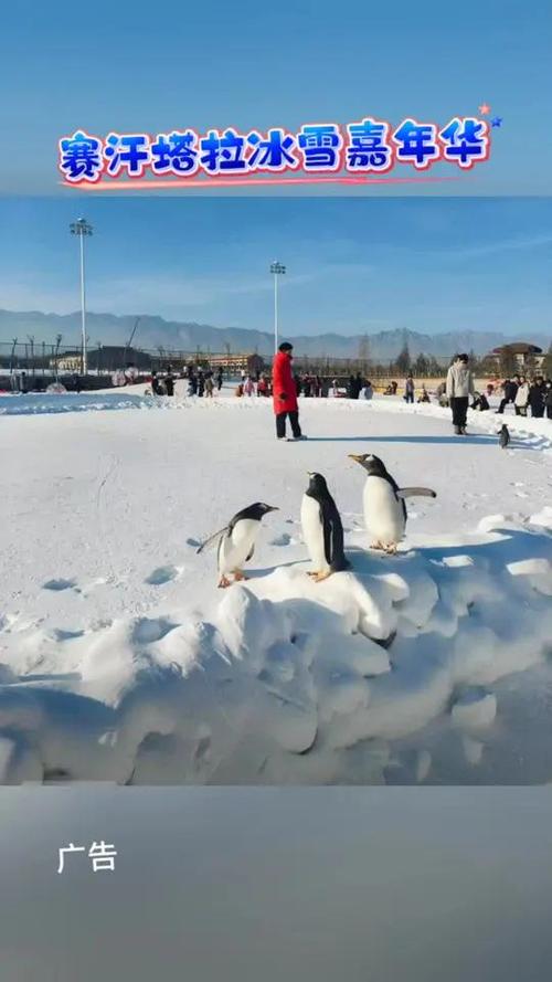 萌宠企鹅乐园下载图标