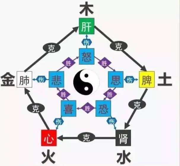 神魂意志魄叫五什么图标