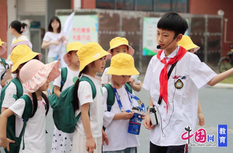 从一颗种子到一棵树图标