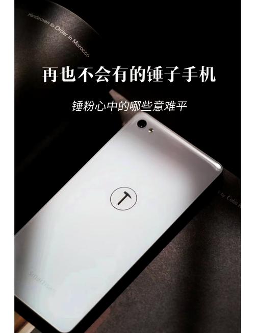 锤子手机跳过密码图标