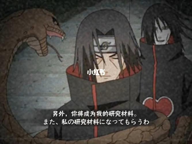 火影忍者晓蛇与鼬的彩蛋图标