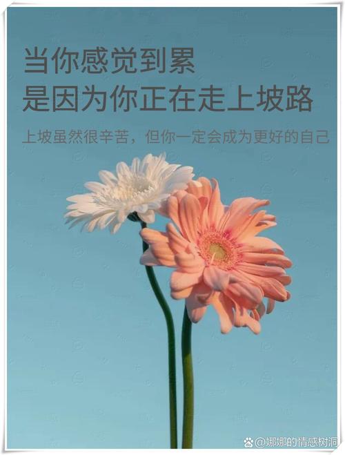 当你走下坡路的时候图标