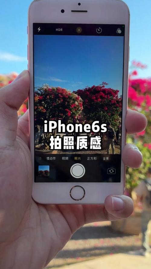苹果拍照还原度最高的手机截图