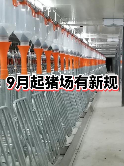 猪场养殖技术员日常工作图标