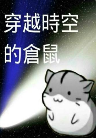 主角是仓鼠的小说