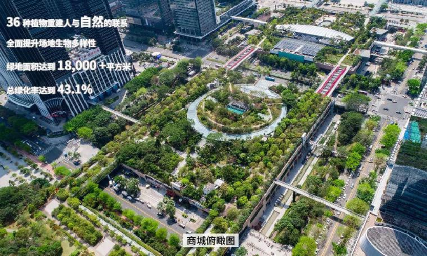 绿轴是什么意思图标