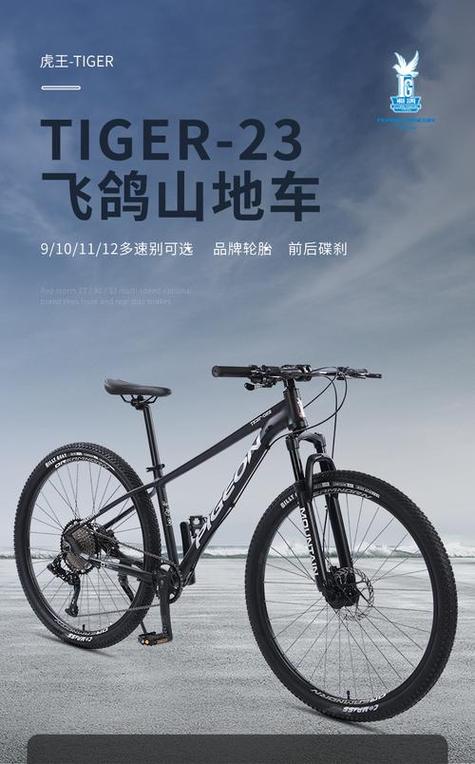 pigeon是什么车截图