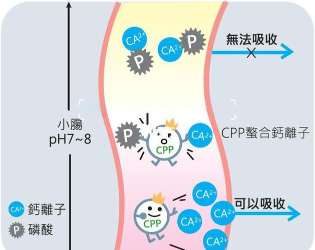 cpp官网图标