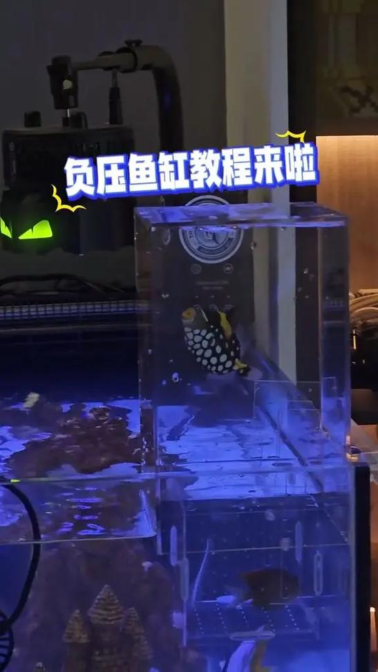 鱼缸制作视频教程全集截图