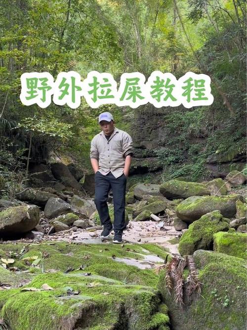 拉屎生存图标