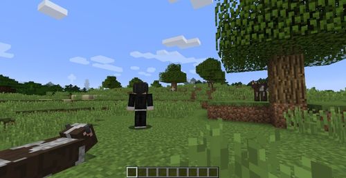 我的世界越肩视角mod怎么调截图