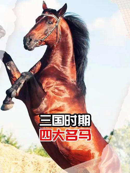 四大名马是哪四个游戏截图
