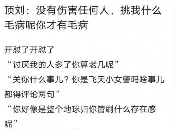 别人说你刷存在感怎么怼截图