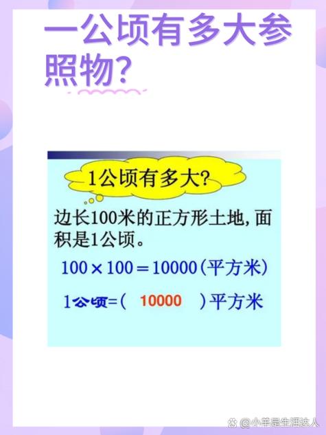 二万等于多少公顷图标