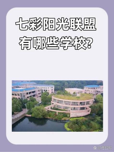 七彩阳光联盟图标