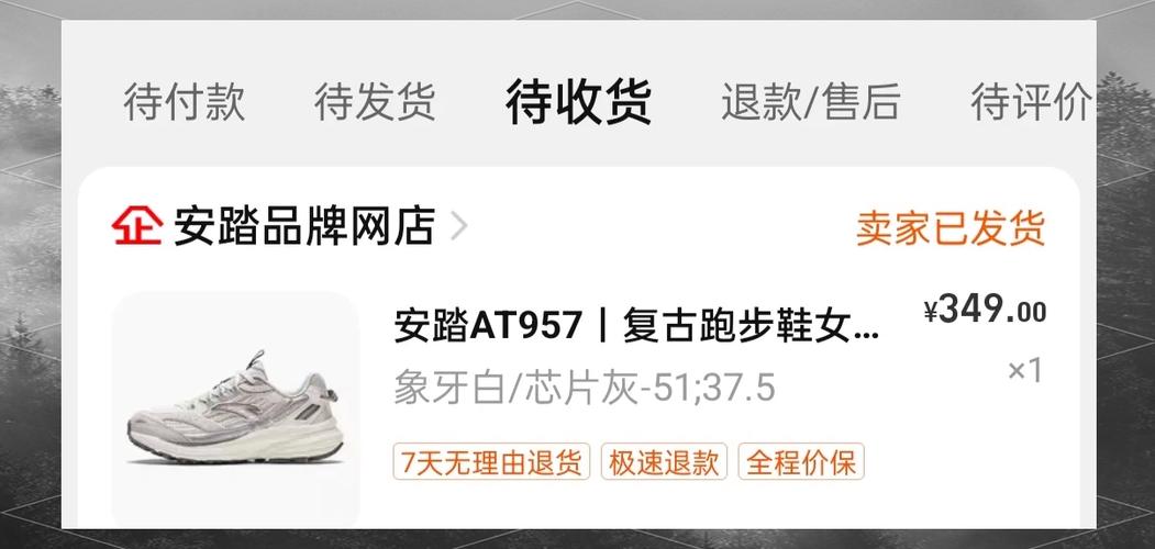 安踏从哪里发货才是真货截图