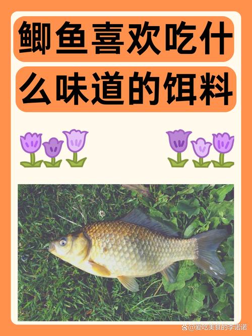 鲫鱼喜欢吃什么味道的饵料图标