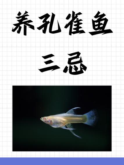 养孔雀鱼水浑什么原因
