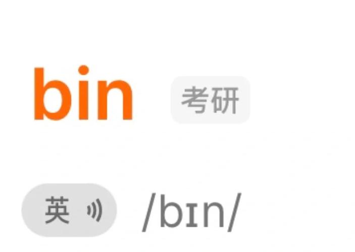 bin英语截图