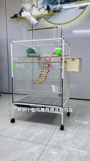 虎皮鹦鹉笼子需要蒙布吗图标