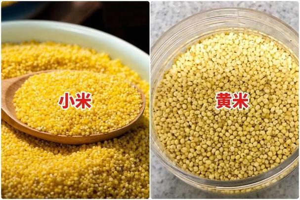 小米的颜色有深有浅图标