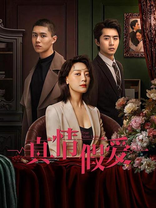 真情 电视剧图标