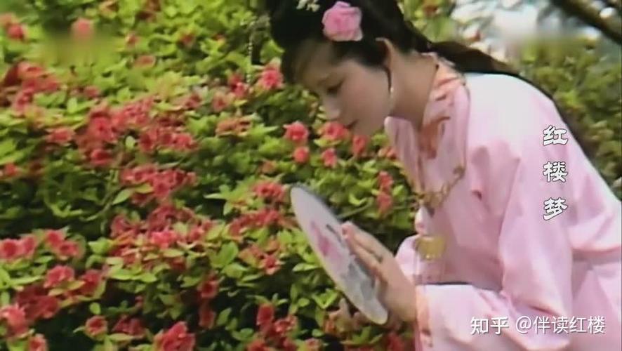 红楼之黛玉后妈不好当全文图标