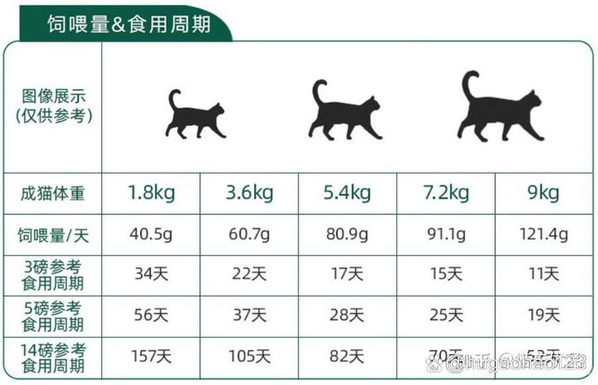 猫一天喂几次图标