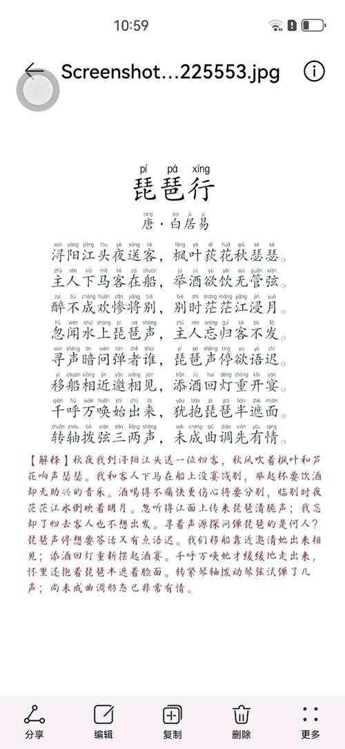 琵琶版琵琶行图标