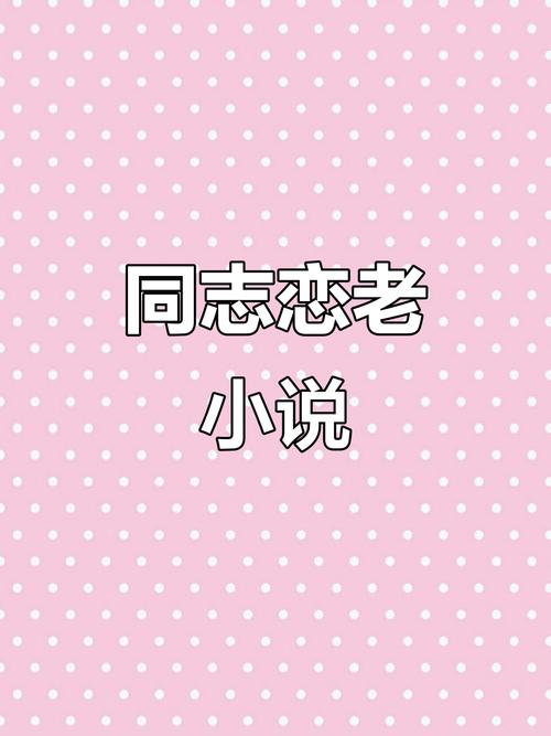 老年同志情感小说书连图标