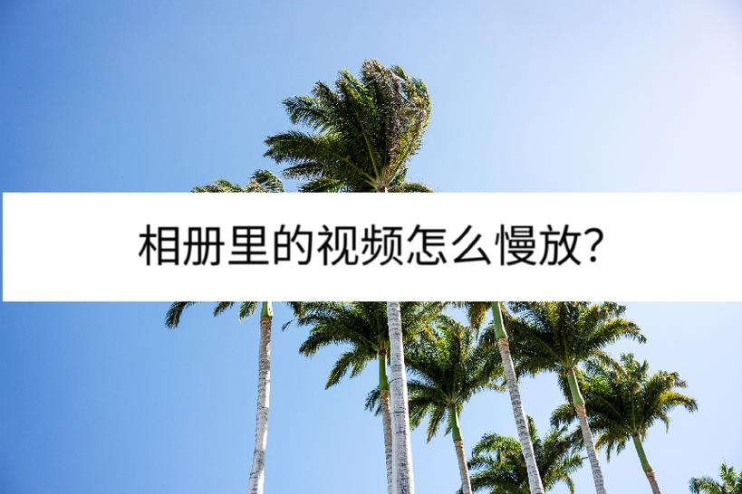 慢放截图