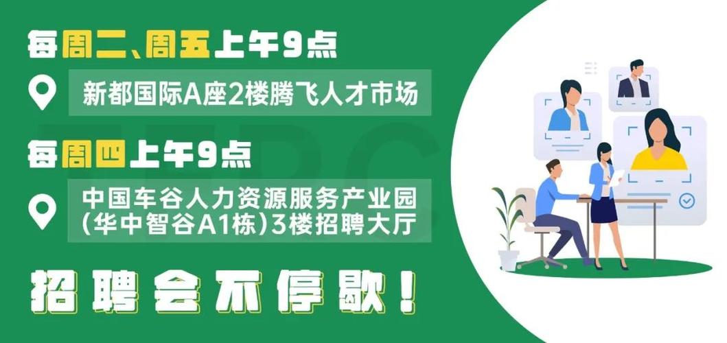 武汉腾飞人才官网截图