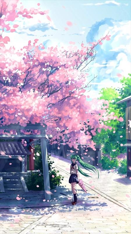 樱花动漫无广告完整版图标