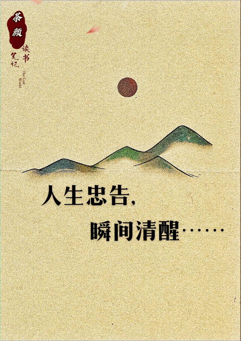 买vidda十大忠告截图