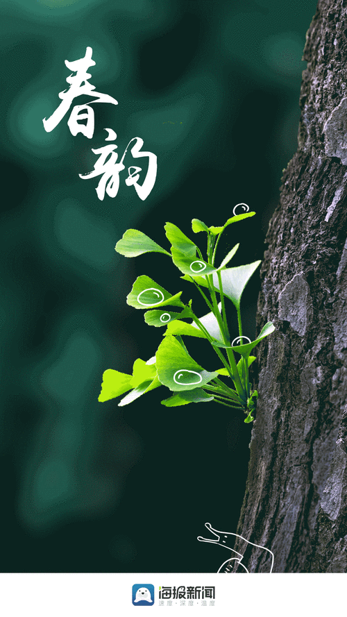 3d动态壁纸手机壁纸图标
