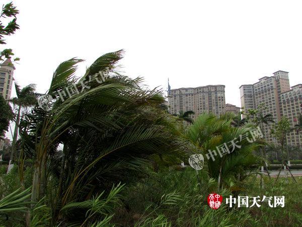防城港最冷的三个月截图
