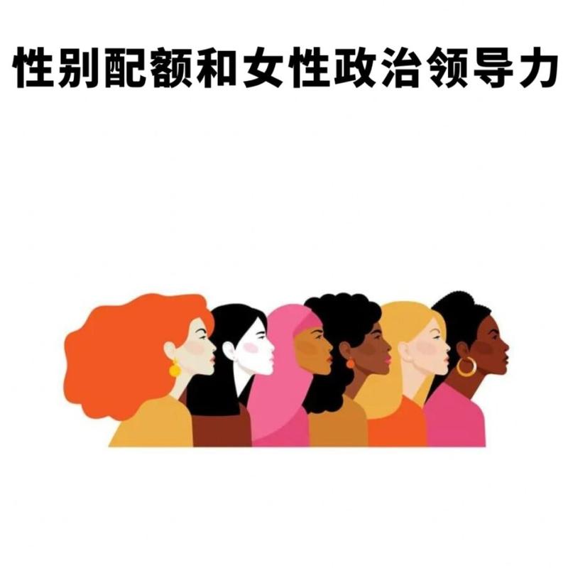 性别配额制弊端截图