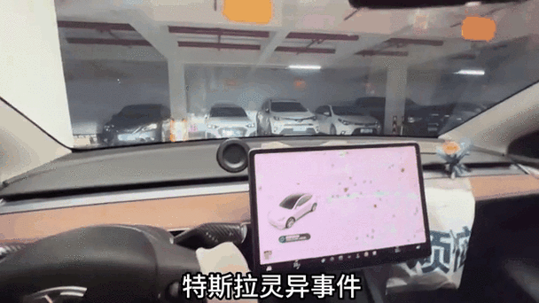 特斯拉哨兵模式事件报告在哪看截图
