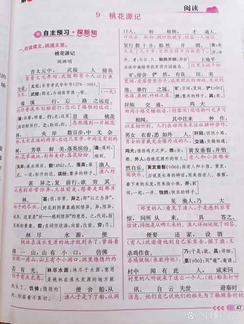 妈妈的桃花源阅读答案最新章节,126130图标