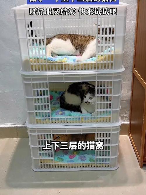 纸箱做的猫窝图标