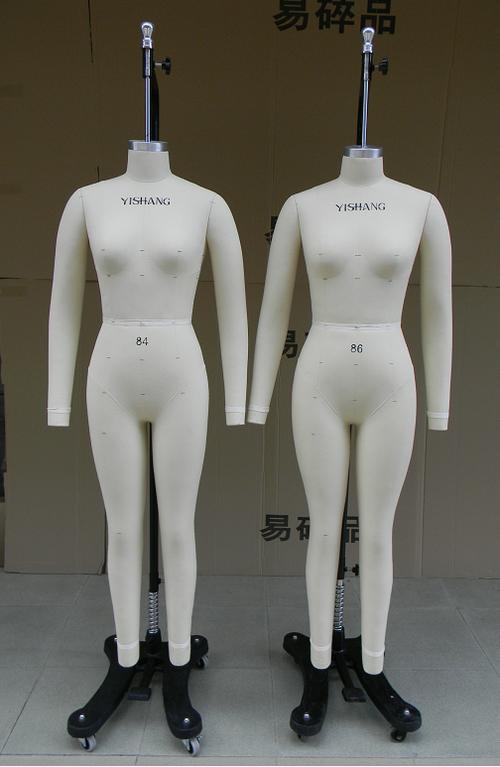 立体模特