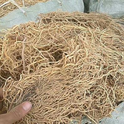 大伸筋是伸筋草吗图标