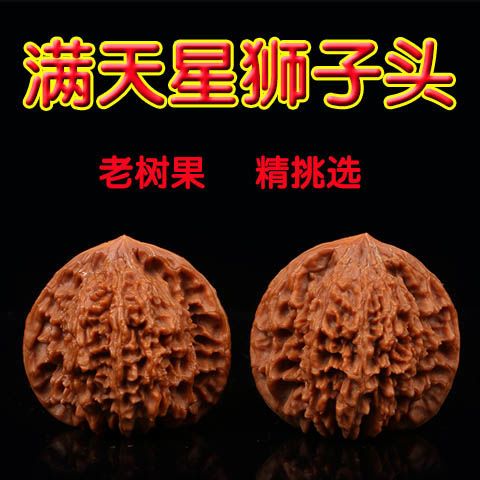 官帽跟狮子头图片对比图标