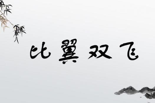 双飞比翼是成语吗截图