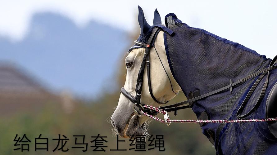 绳子做马套