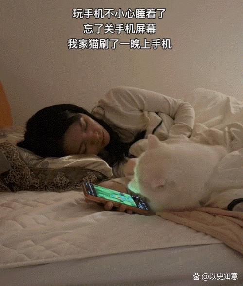 床上躺着呢怎么回复