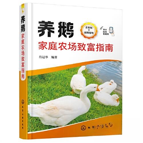 养鹅利润与费用图标