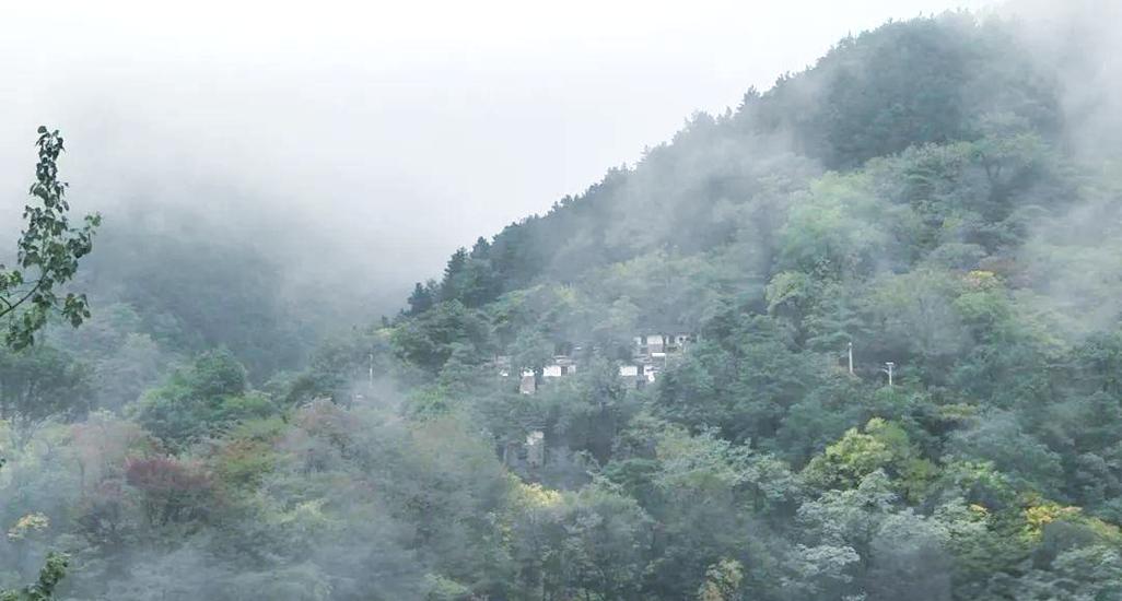 秋雨旅行图标