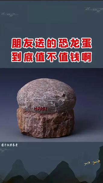 真假恐龙蛋鉴别图片截图