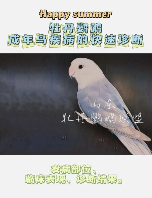牡丹鹦鹉抽搐痉挛图标